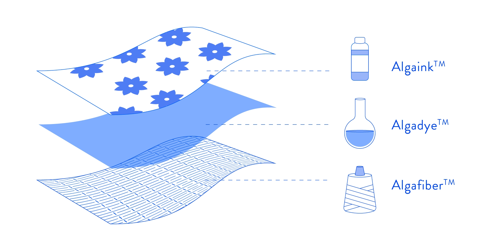 Algaeing – Two Desgin