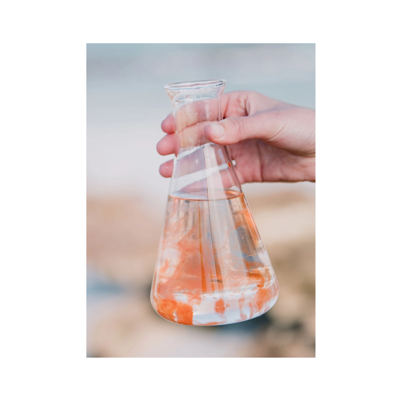 Algaeing – Two Desgin