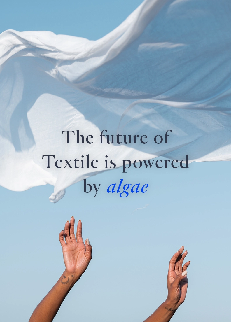 Algaeing – Two Desgin